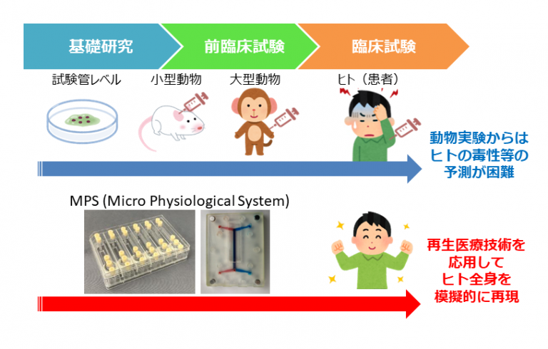 研究・開発の窓│製薬企業ニーズに応える国産生体模倣システムを製品化し、日本発の創薬を支援 筑波大学 生命環境学群 伊藤弓弦教授(生命地球科学 ...